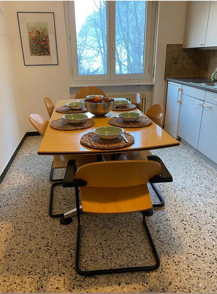 Edel Ausgestattes Appartement - Bellinzona
