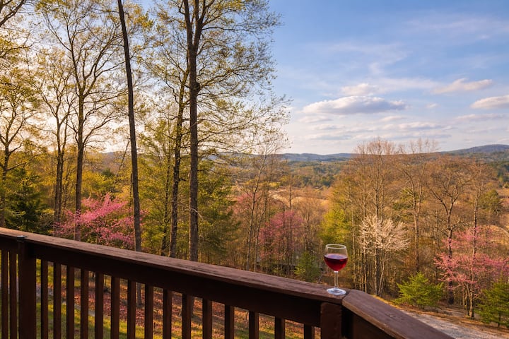 Sauna Evenings, Game Nights, Mountain Mornings - Blairsville, GA