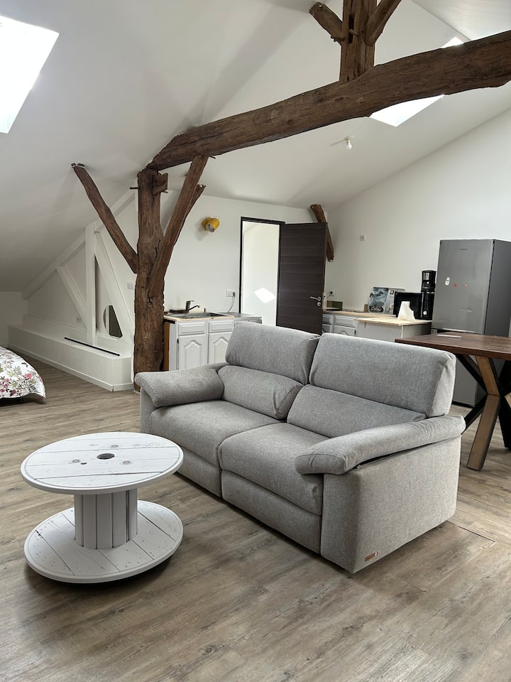 Appartement Loft à Louer - Marmande