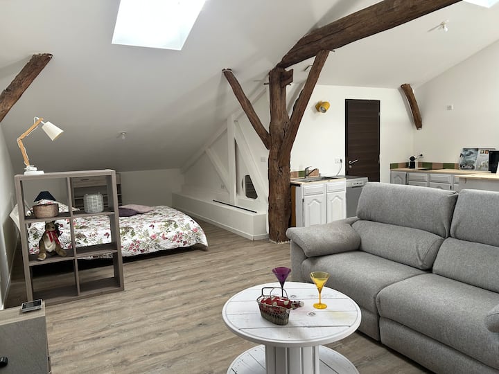 Appartement Loft à Louer - Marmande