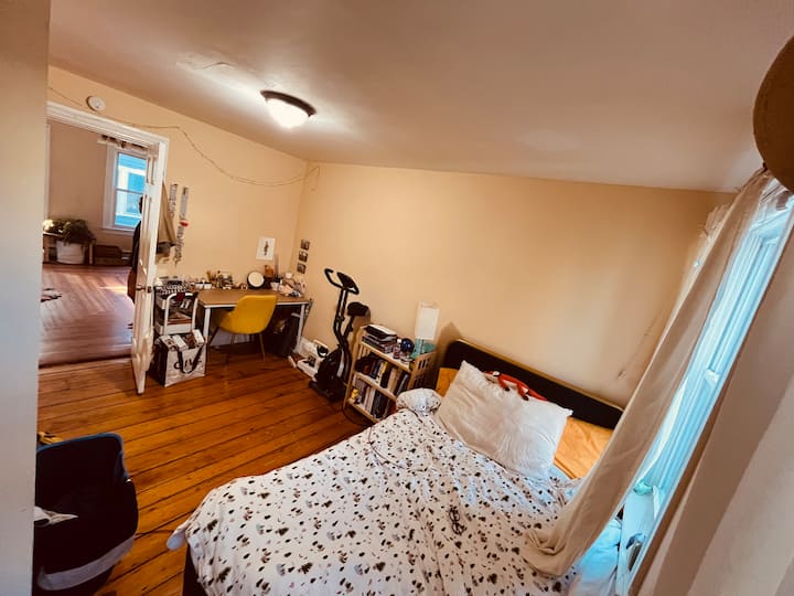 The Yellow Urban Nest - Providence, RI