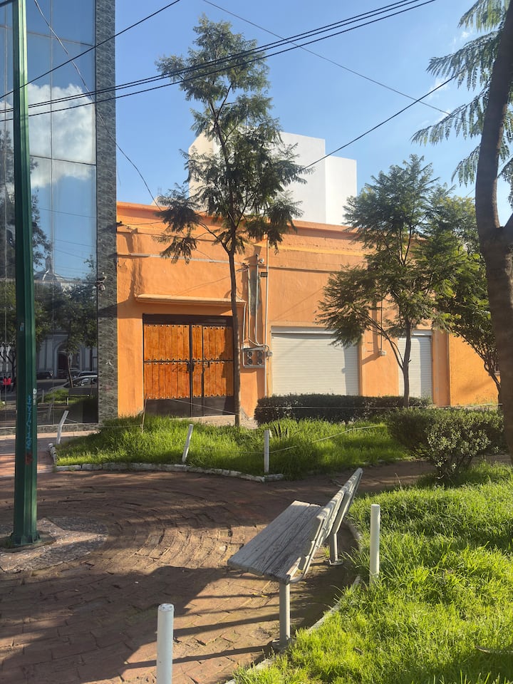 Departamento En El Corazón De Toluca “ÁRbol” - Toluca