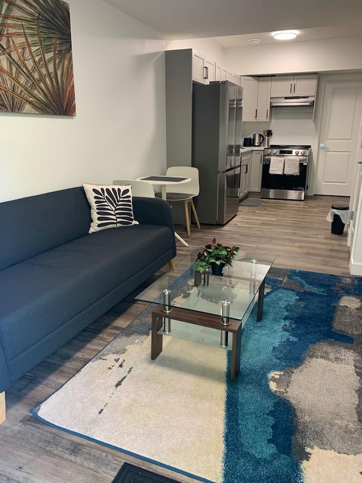 Prestigious Walkout Basement Suite - Edmonton