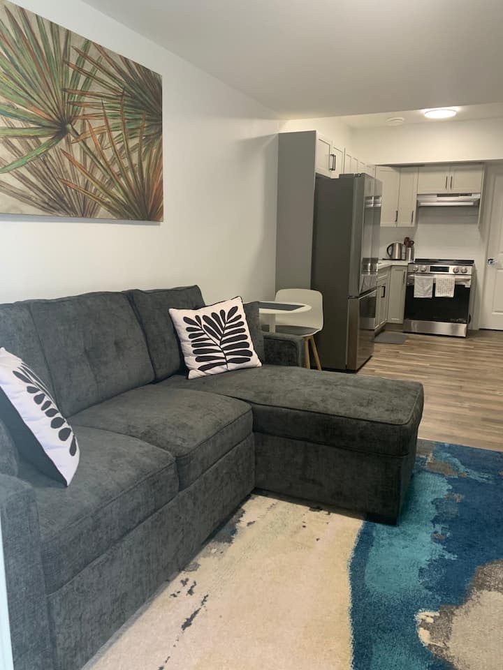 Prestigious Walkout Basement Suite - Edmonton