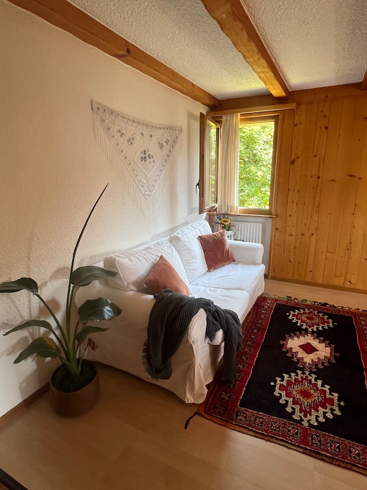 Serene Room And Private Bath - Les Diablerets