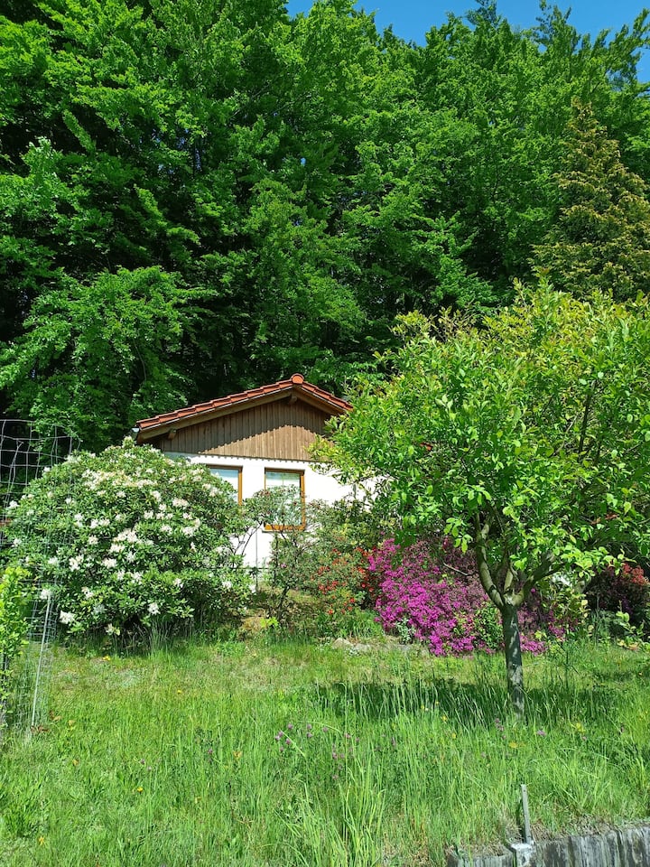 Ferienhaus Am Wald Mit Südblick - Pulsnitz