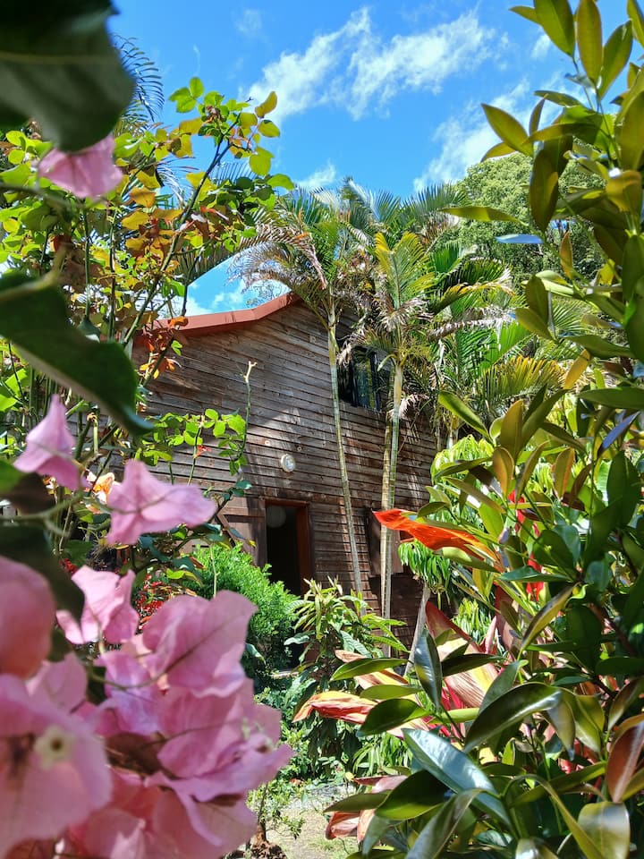 Ti Kaz Fino - Réunion