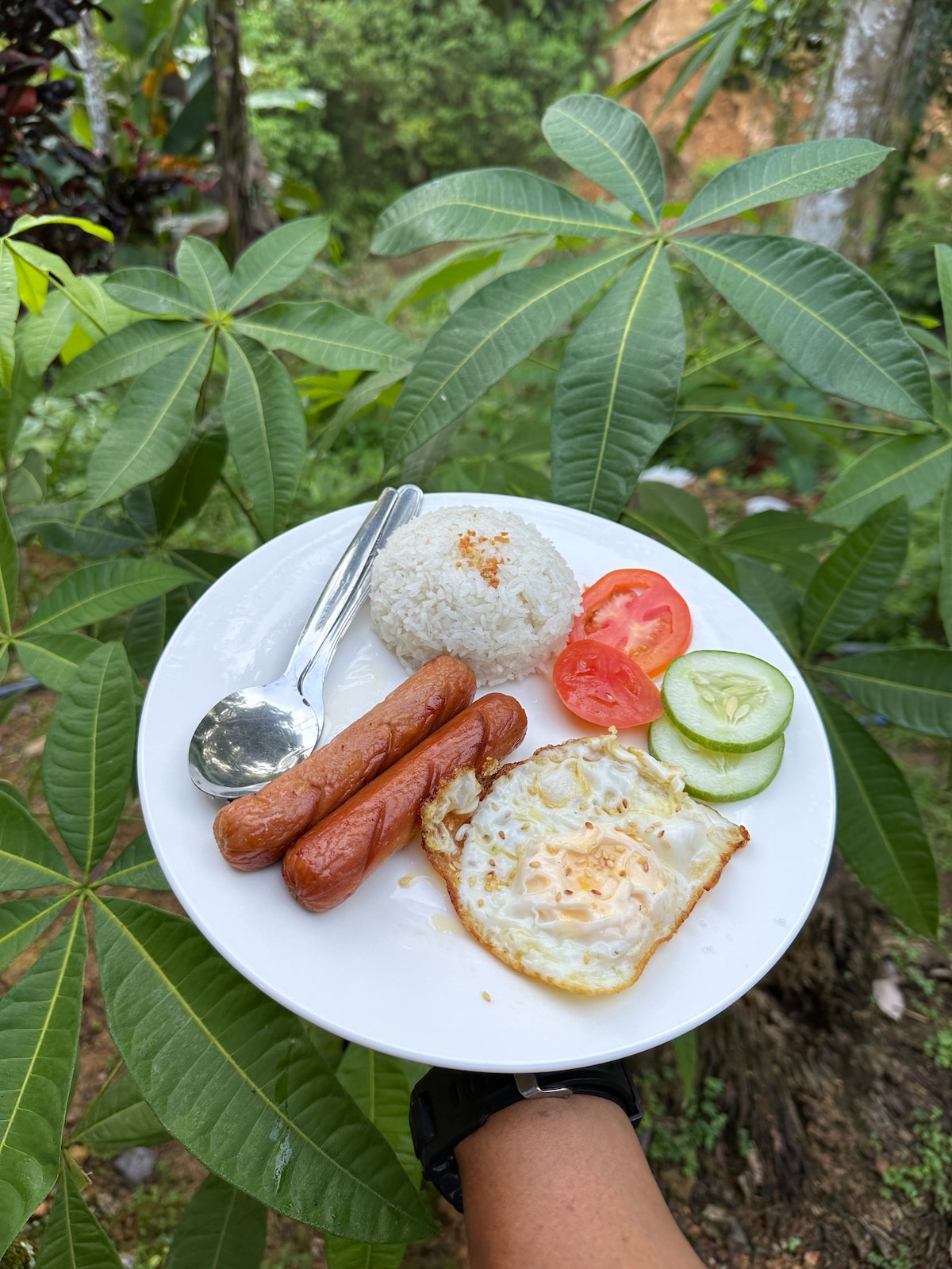 B&B homely comfort for travelers - Guest houses for Rent in Titay ...