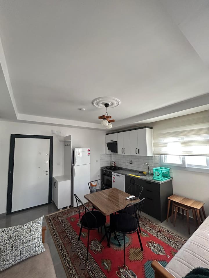 Havuzlu 1+1 Ev - Mersin