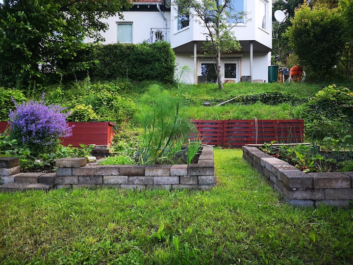"Casacobi 1"- Nähe Rothaarsteig-kostenl. Parkplatz - Netphen