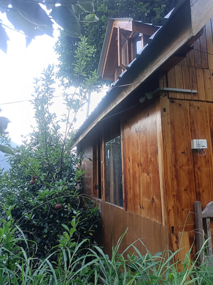 Swastika Aashiyana Tree House 1 - Jibhi