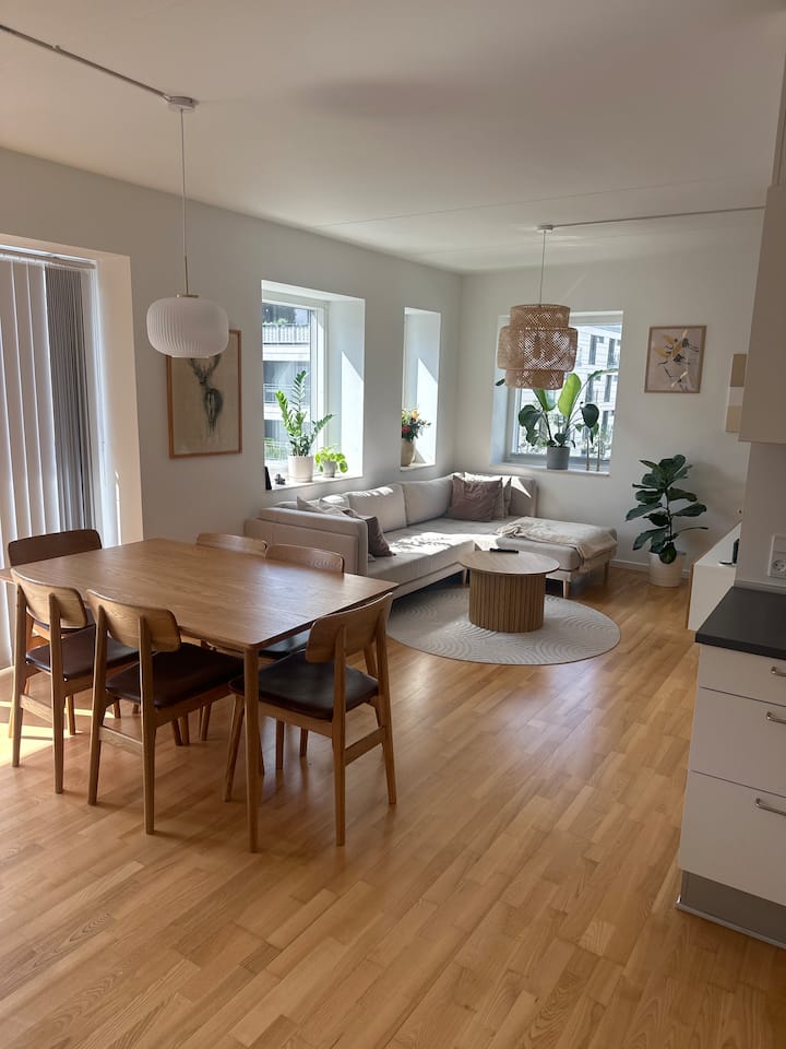 Stor, Komfortabel Lejlighed På Havnen, Tæt På Alt - Odense