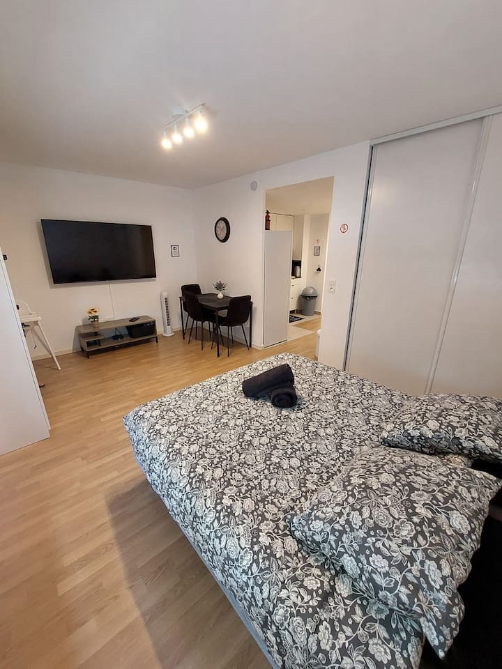 Cosy Home 4 - Studio + Parking - 30 Min Paris - Cergy