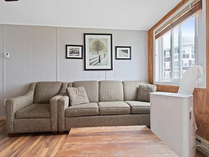 Best Value! 2br, New Owner, Renovated, Ski-in/out - Snowshoe, WV