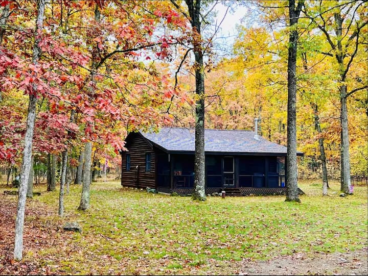 Log Cabin “Northern Star” - Michigan