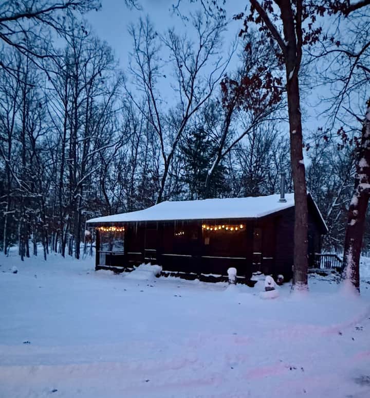 Log Cabin “Northern Star” - Michigan