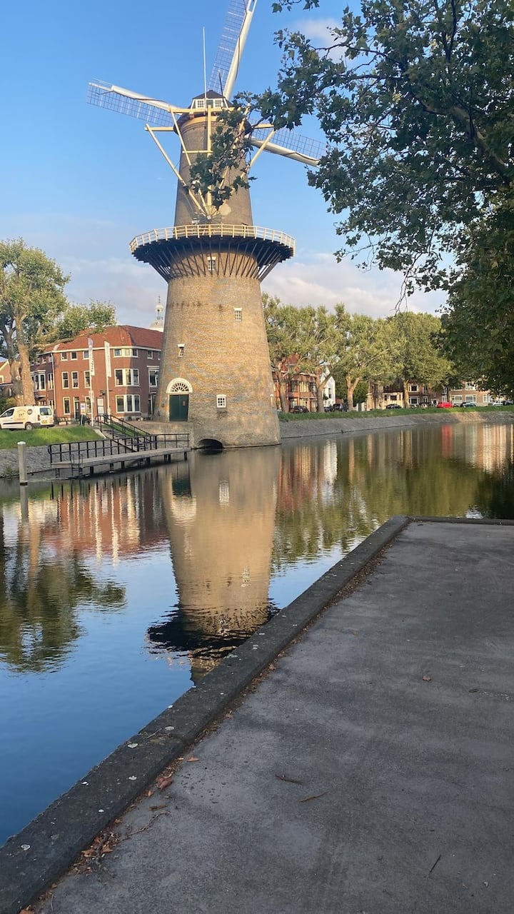 The Walvisch - Schiedam