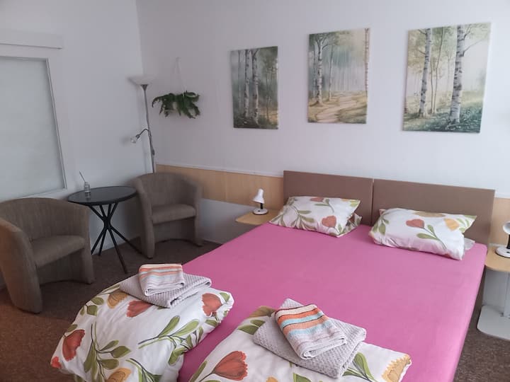 Soukrome Ubytovani 2 - Zlín