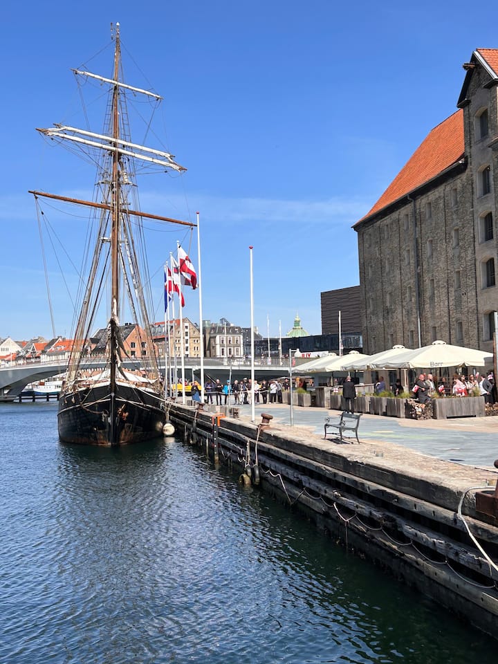 Prime Location In Copenhagen C - Copenhaguen