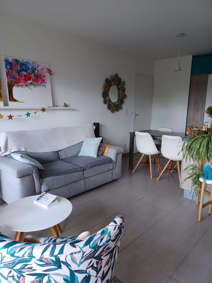 Type 3 Calme Et Lumineux - Argonay