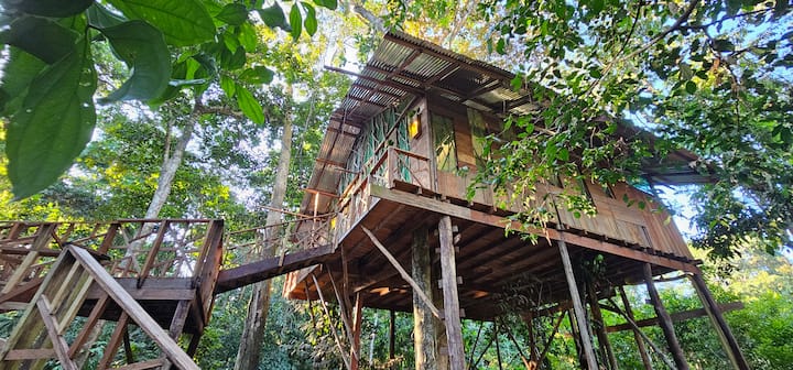 Casa Del áRbol - Mirador Tacana - Leticia
