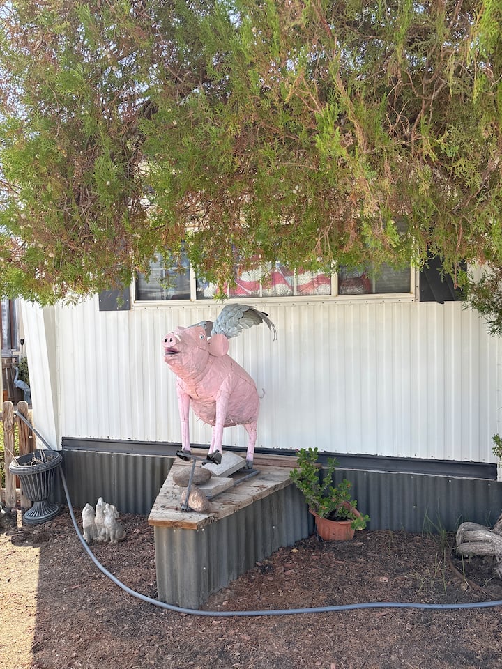 The Flying Pig - Yuma, AZ