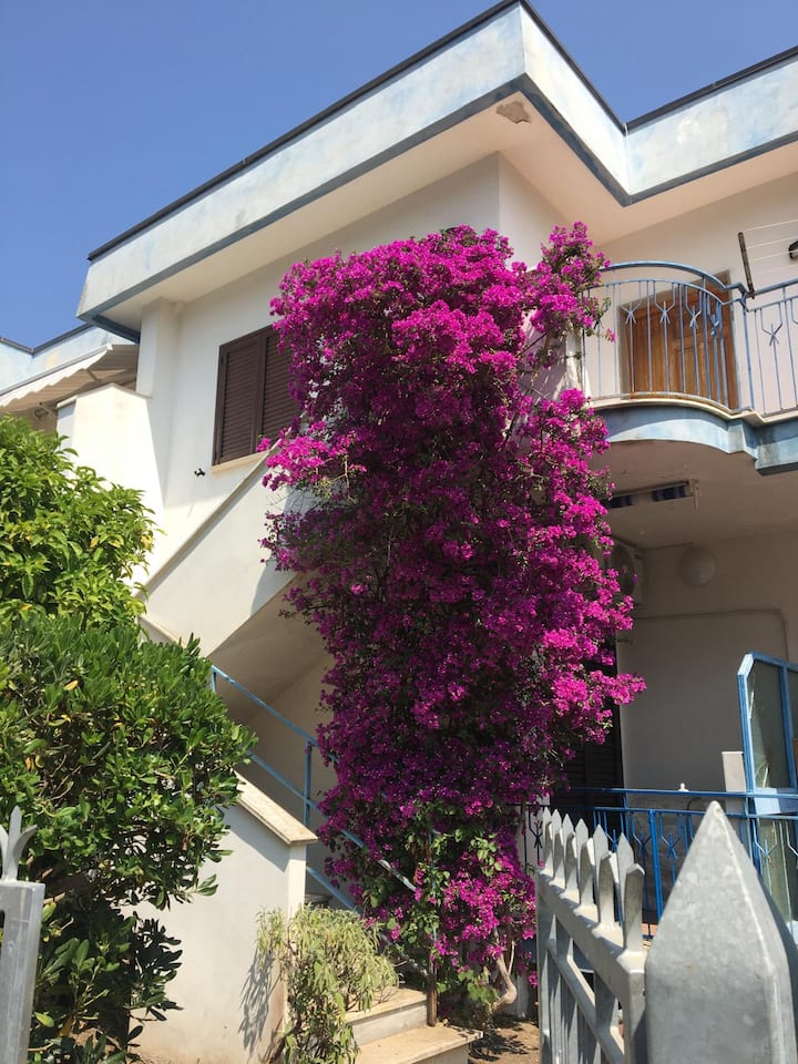 Casa Bouganville - Cilento - Casal Velino