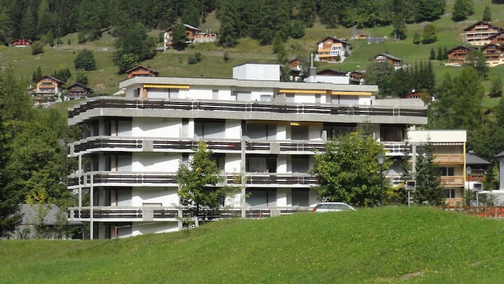 Très Beau Studio
Vue Montagne
Residence Rénovée - Adelboden