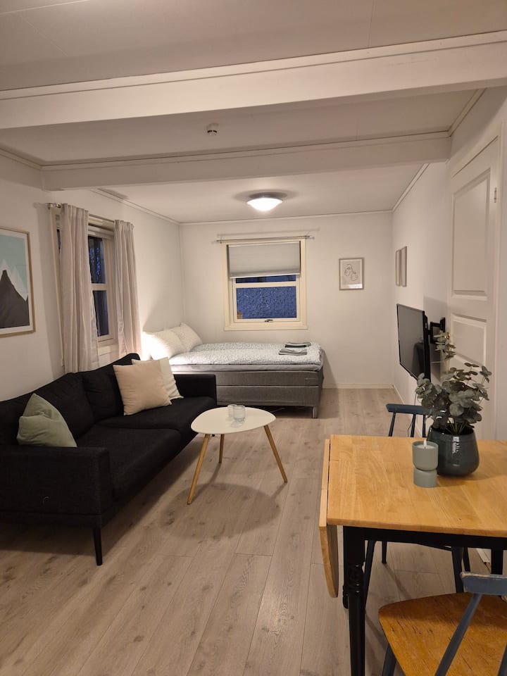 Koselig Og Sentral Studioleilighet - Tromsø