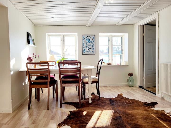 Urlaub Auf Dem Pferdehof - Denmark