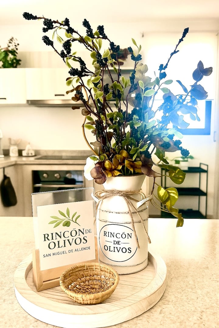 Rincón De Olivos Súper Equipado, Amenidades Genial - San Miguel de Allende