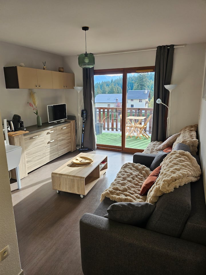 Studio 4 Couchage Cosy Vue Montagne Sur Chabanon - Seyne