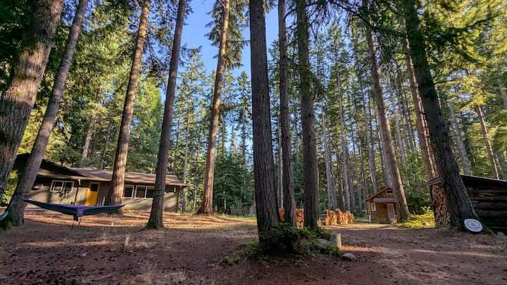 Pinewood Estate | Cabin + Home On 3 Private Acres - Langley, WA