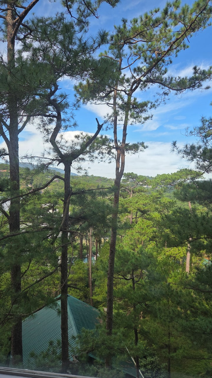 Relax Feel The Albergo Vibes! - Baguio