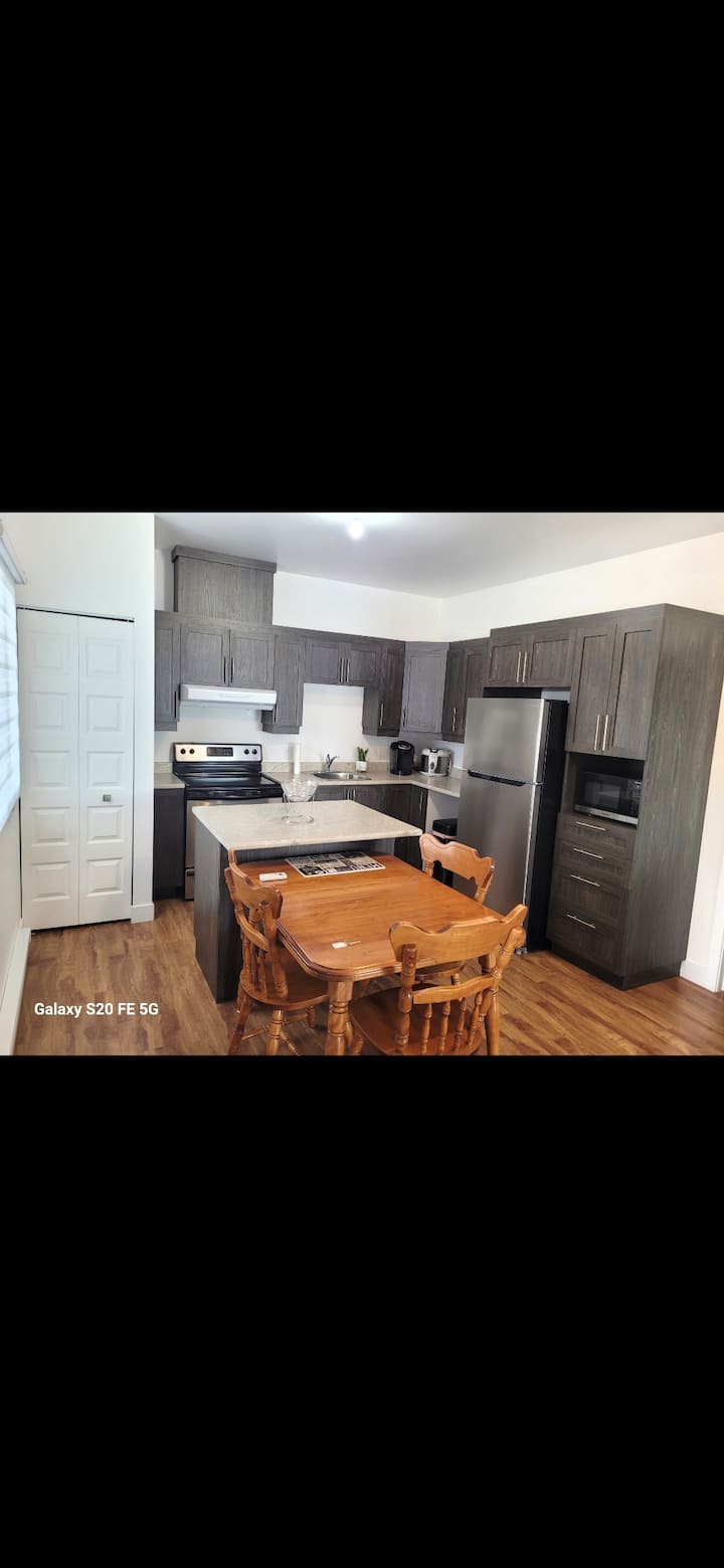 Paisible Logement 3 Pieces Et Demi - Trois-Rivières