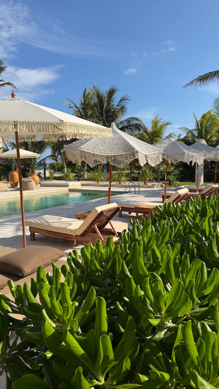 Apartamento Frente A La Playa Con Cenote - Riviera Maya