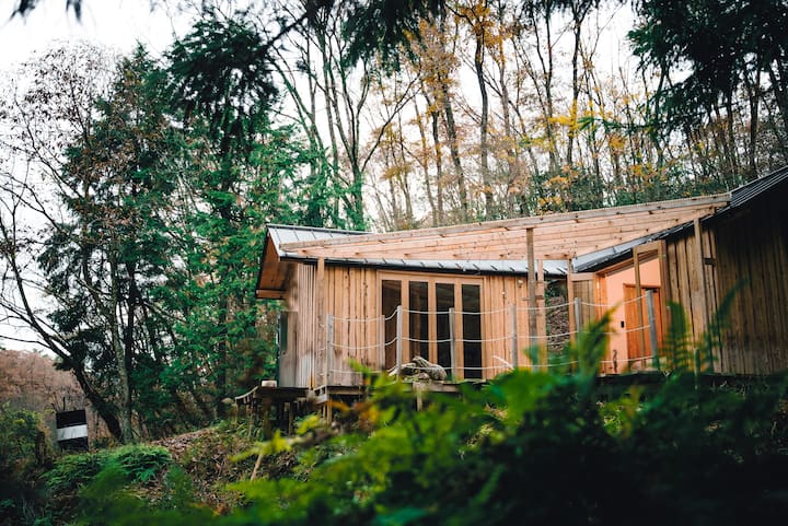 森の隠れ家で 思うままに過ごす贅沢を - Hyogo