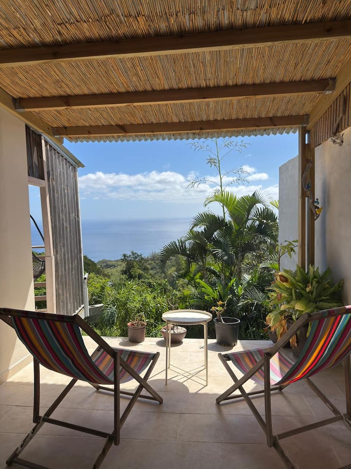 Appartement Cosy 1 Chambre, Terrasse Vue Océan - La Réunion