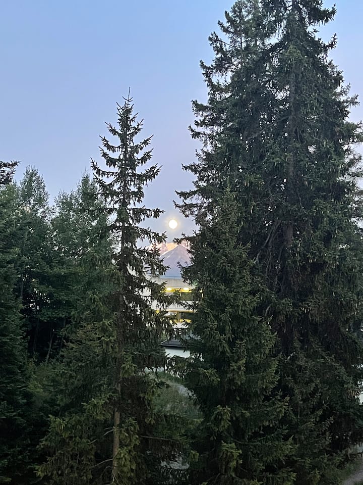 Ski, Golf, Rando & Chill - Studio Cosy - Crans-Montana
