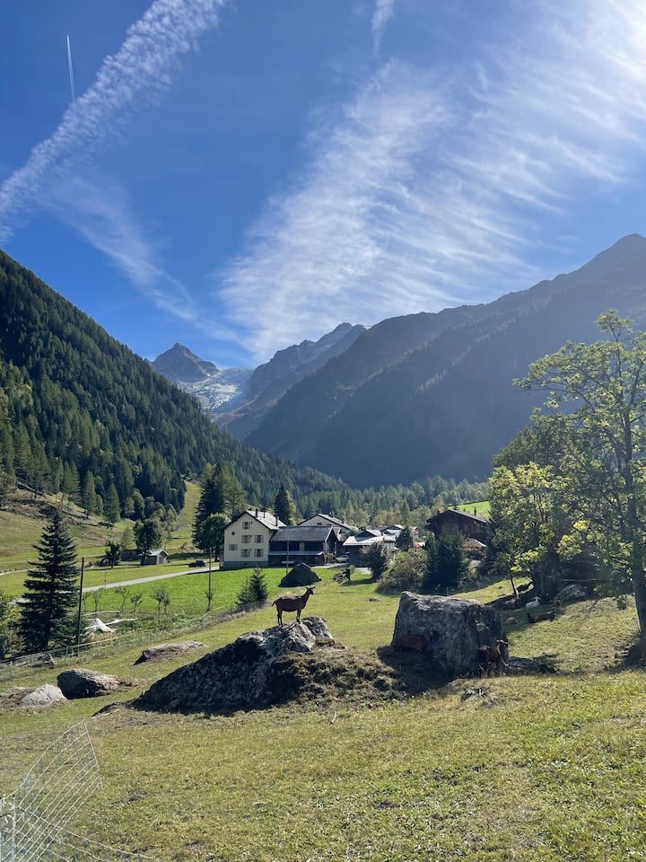 Balcon Sur Le Glacier Du Trient - Martigny
