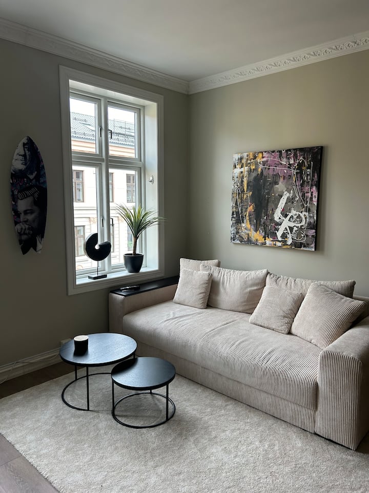 Sentral Leilighet På Grunerløkka - Oslo