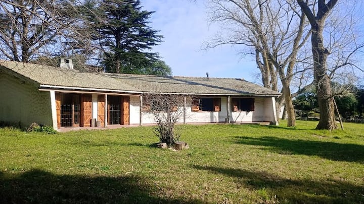 Amplia Y Luminosa Casa Quinta - Mar del Plata