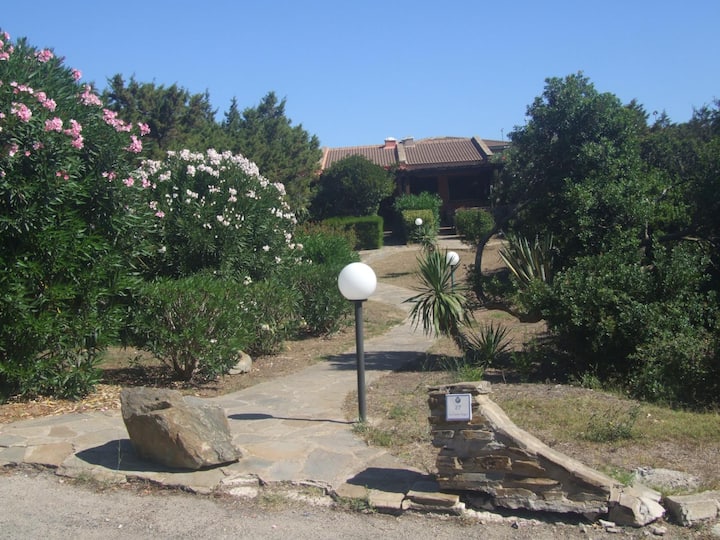 Villa Delogu Puntanegra Stintino - Stintino