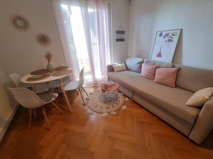 Lausanne Centre - Appartement - Renens