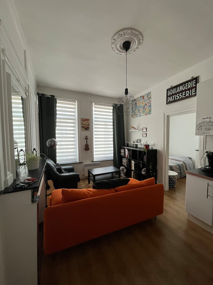 Appartement Plein Cœur De Lille - Lille