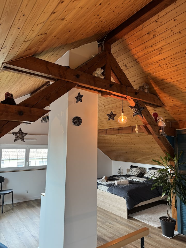 Bel Appartement Neuf & Cosy Au Cœur De L'alsace - Ensisheim