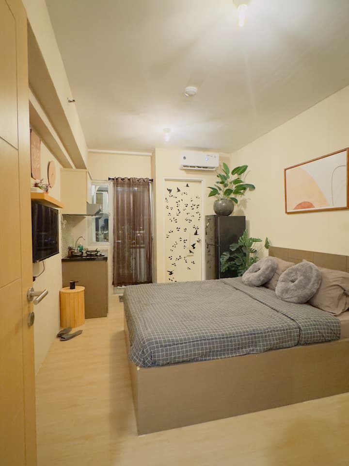 The Cocoon - Stanford Educity Pakuwon-city - Surabaya