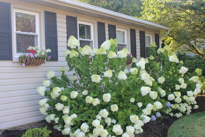 Suburban Lancaster Home - 랭커스터