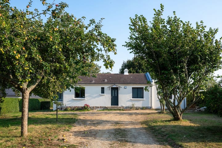 Le Phare Ouest - Plougonvelin