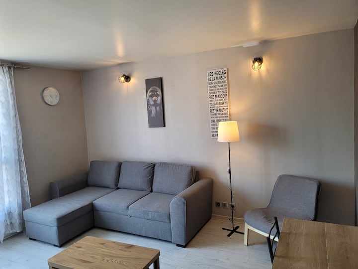 Appartement Lumineux De 55 M² - Chambéry